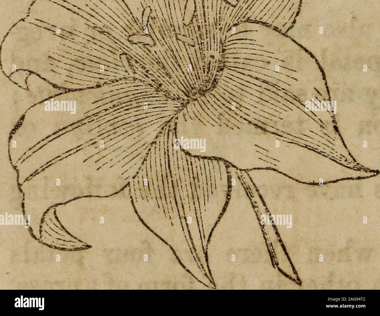 The bell curve book hi-res stock photography and images - Alamy