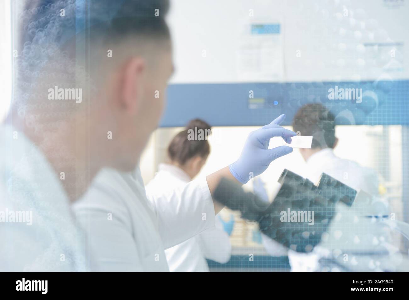 Group of young Laboratory scientists working at lab with test tubes and ...