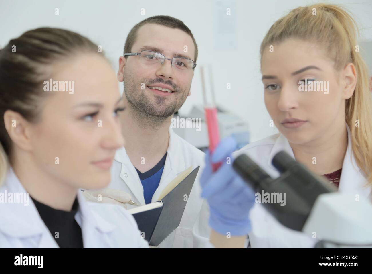 Group of young Laboratory scientists working at lab with test tubes and ...
