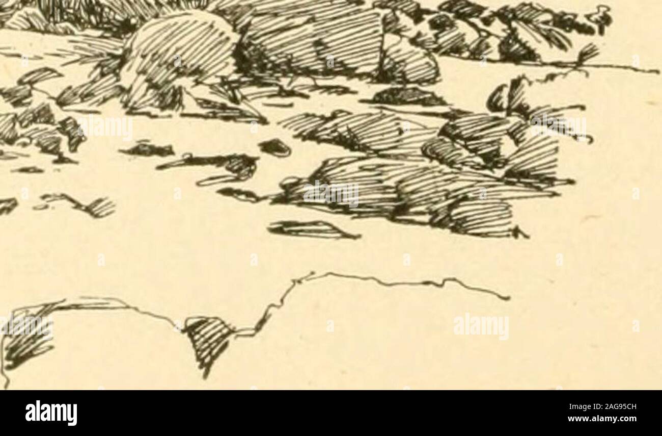 Destructible environment hi-res stock photography and images - Alamy