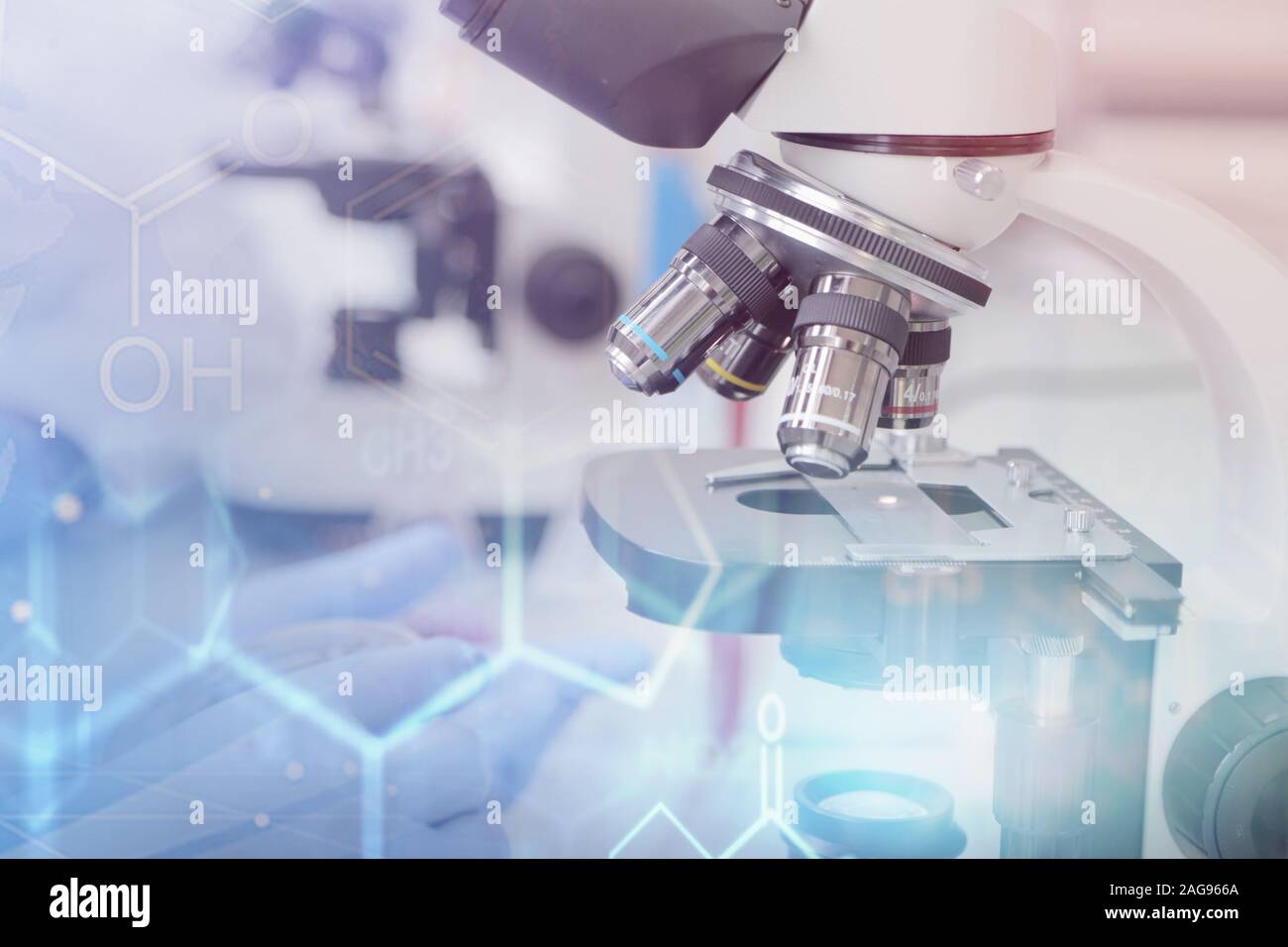 Two young Laboratory scientists working at lab with test tubes and ...
