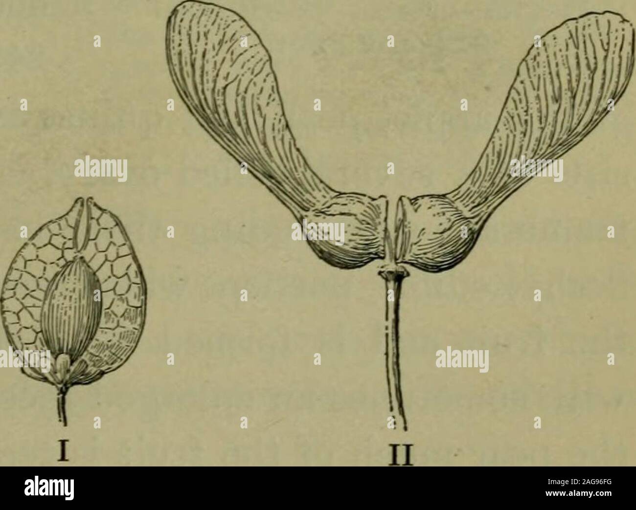 The brazil foundations hi-res stock photography and images - Alamy