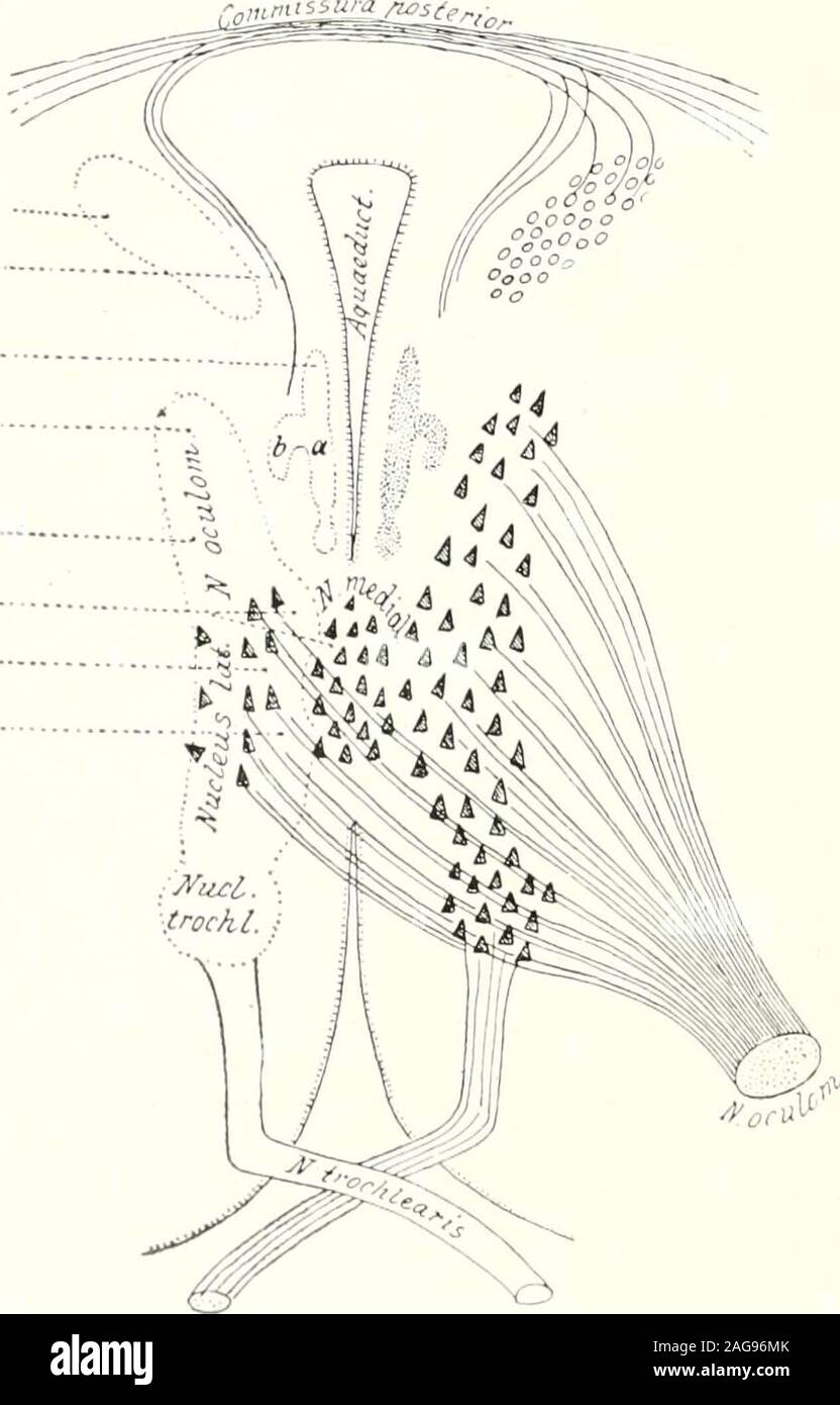 Nl 1298 hi-res stock photography and images - Alamy