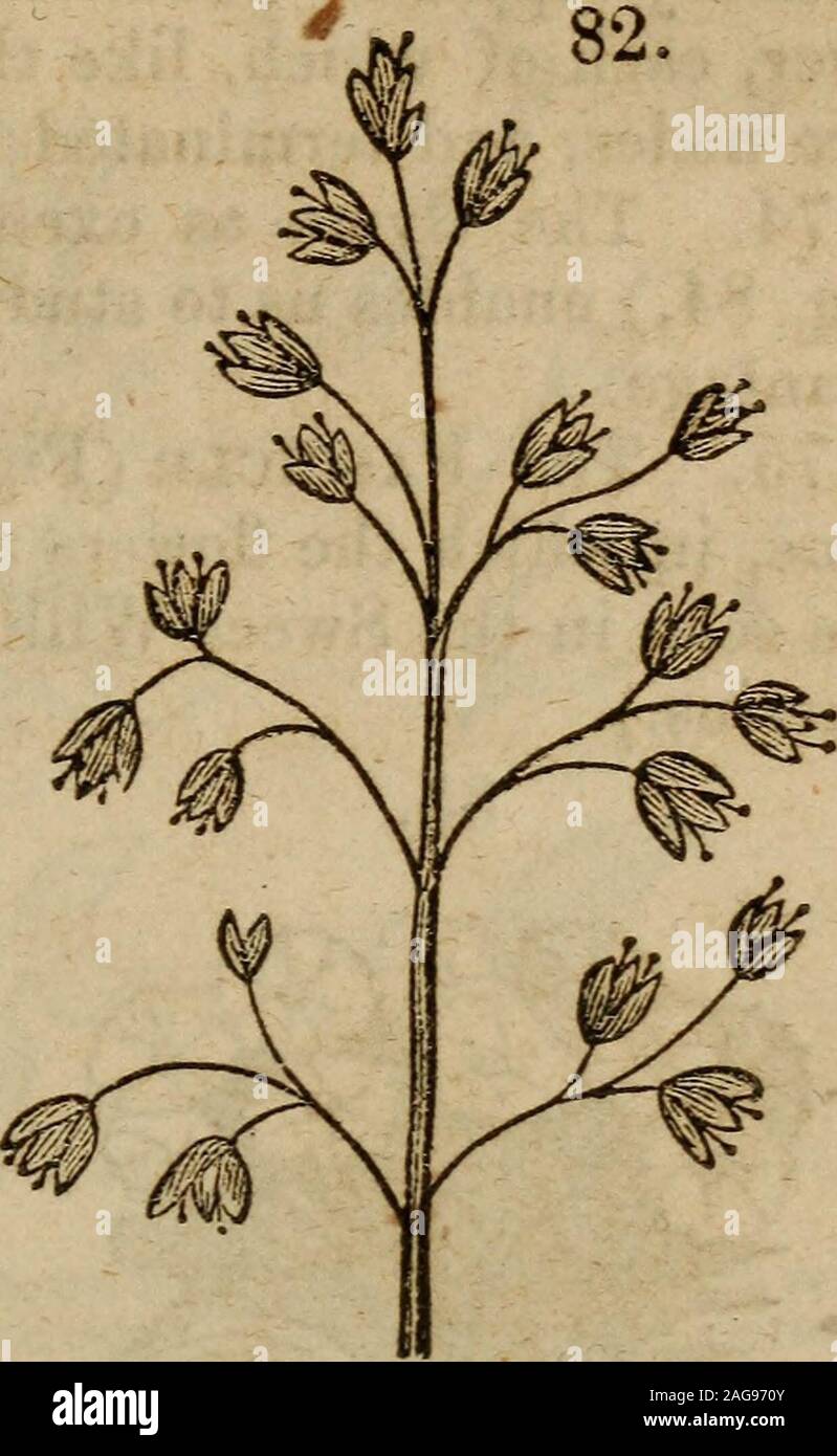 . The botanical class-book, and flora of Pennsylvania, designed for ...