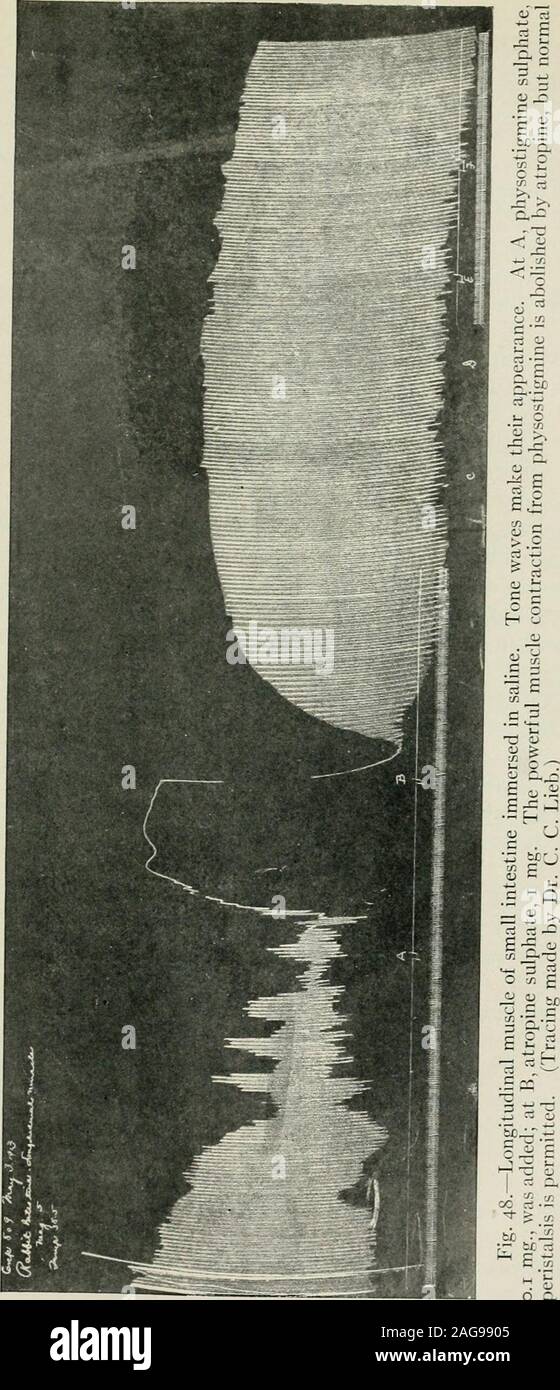 Curare poisoning hi-res stock photography and images - Alamy