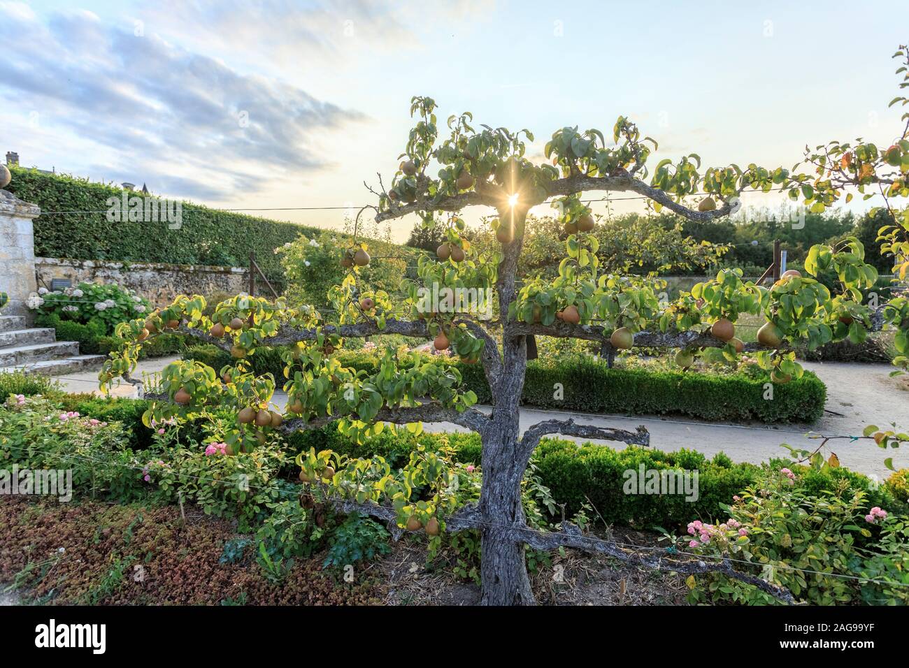 France, Loiret, La Bussiere, Chateau de La Bussiere Park and Gardens ...