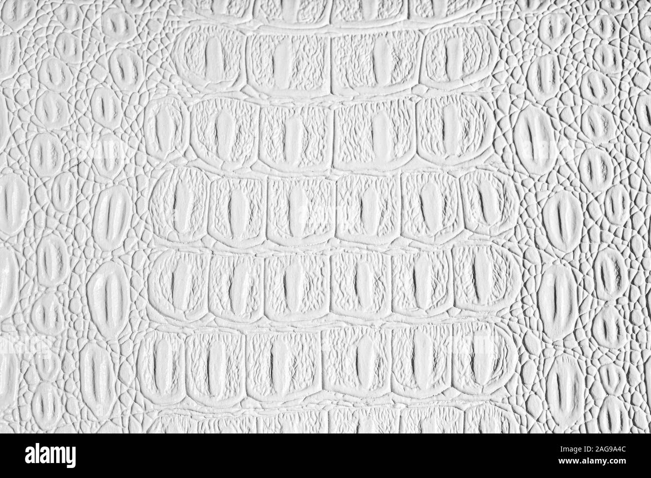 White crocodile leather texture. Abstract backdrop for design with copy ...