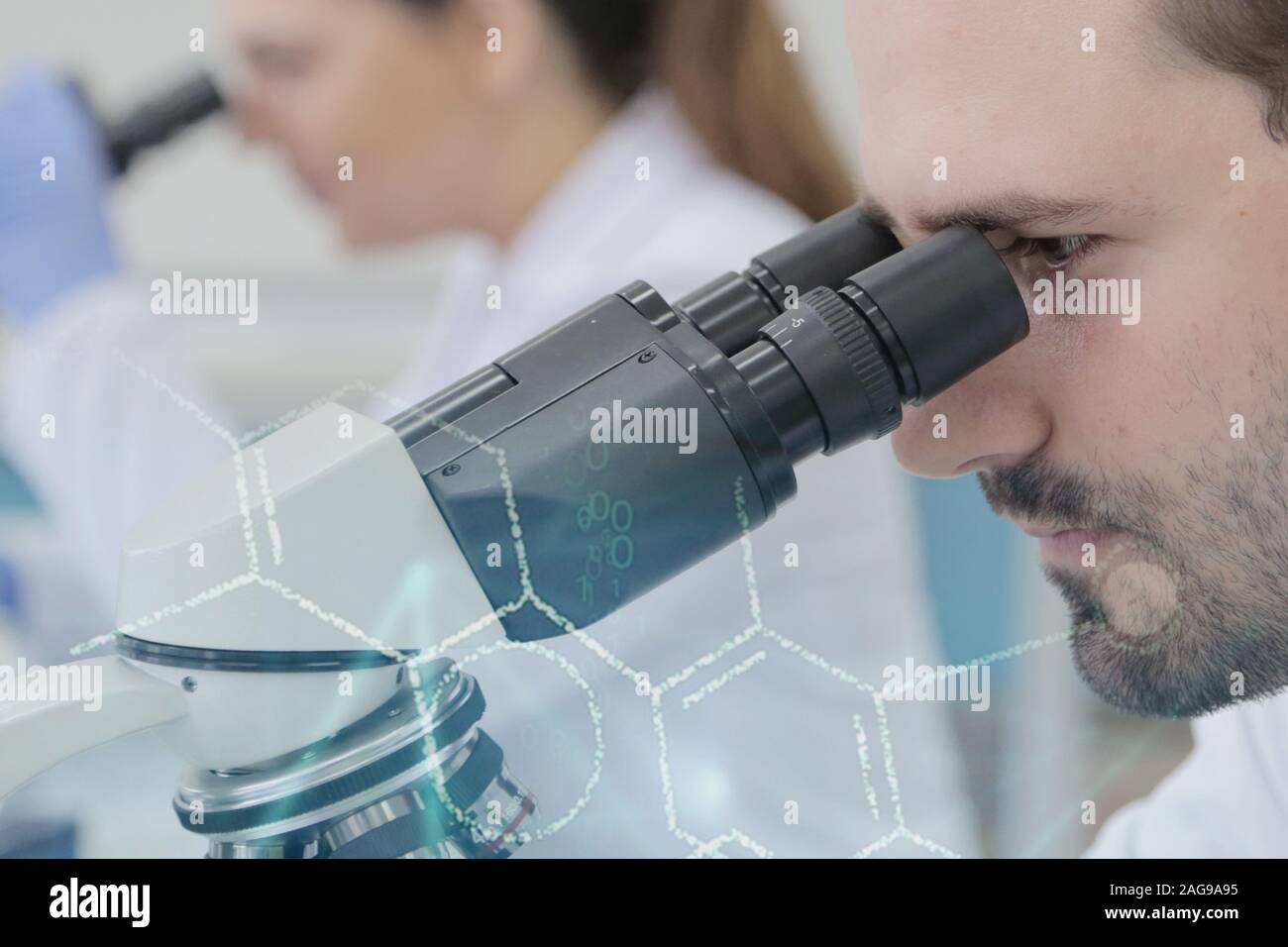 Two young Laboratory scientists working at lab with test tubes and ...