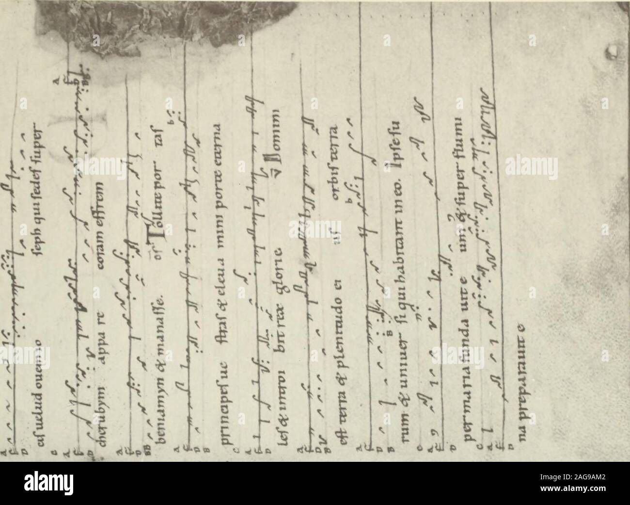 S gallican hi-res stock photography and images - Alamy