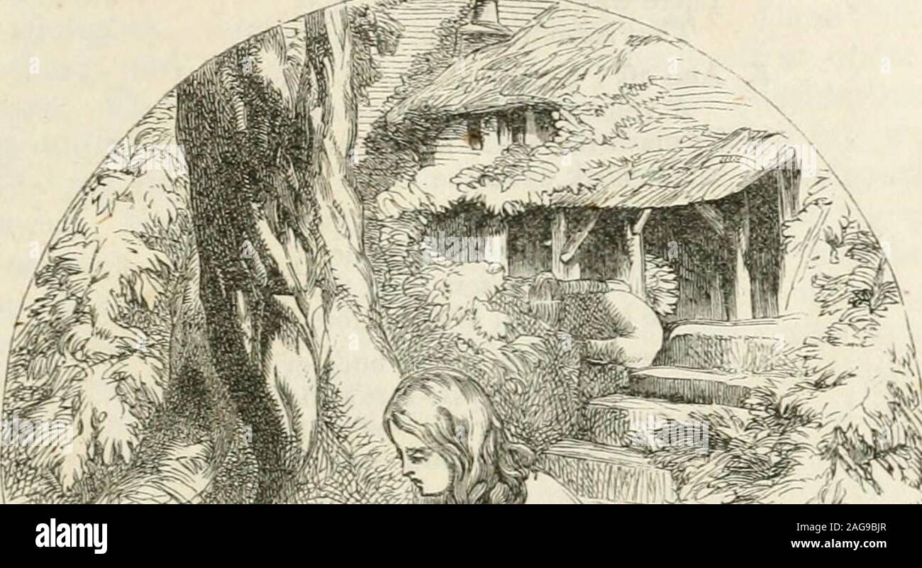 Vitiating hi-res stock photography and images - Alamy