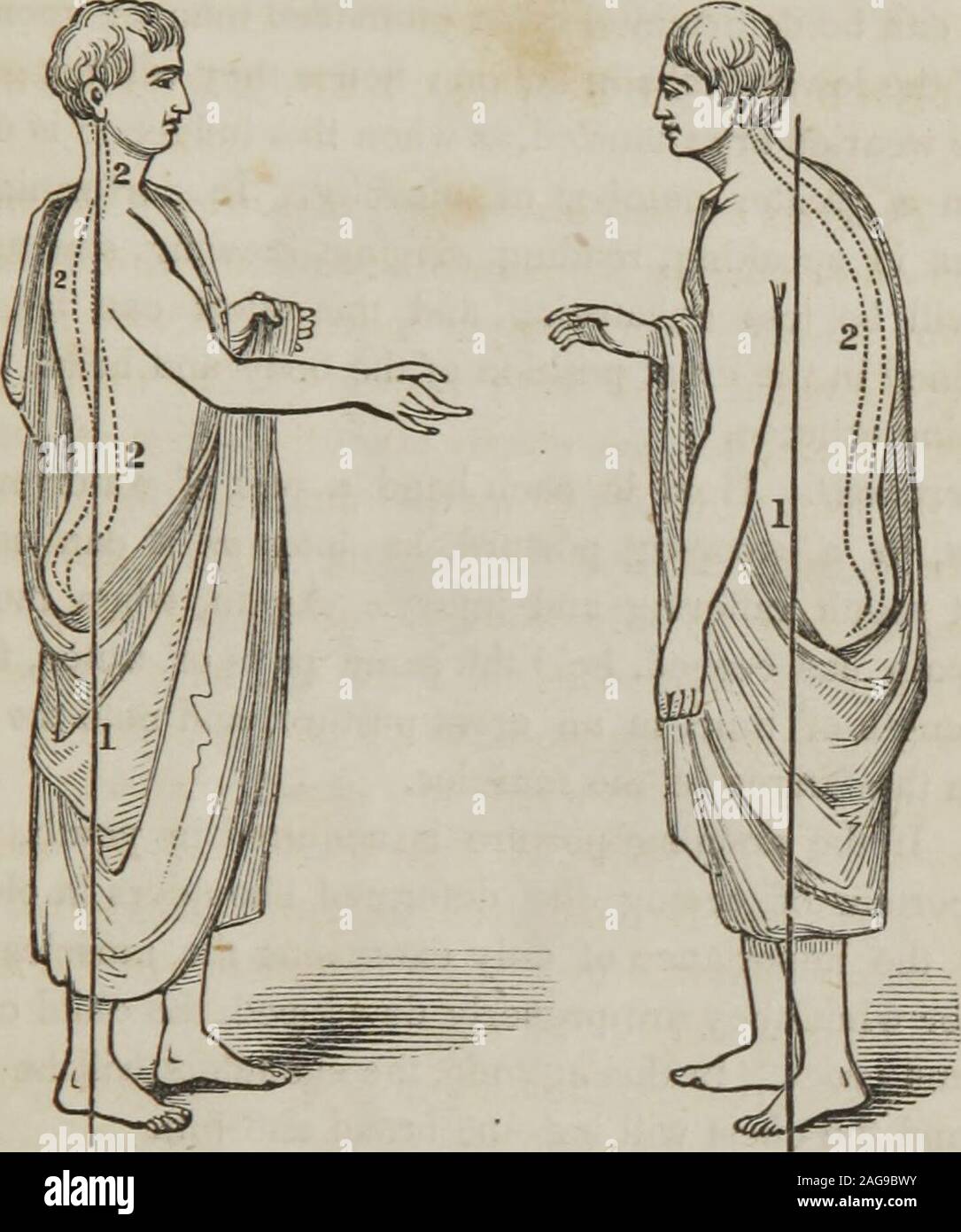 . A treatise on anatomy, physiology, and hygiene : designed for ...