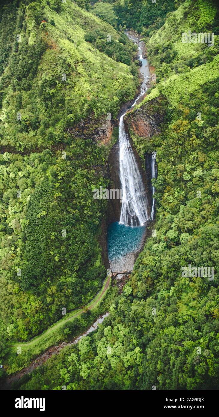 Vertical high angle shot of the waterfall among the forest captured in ...