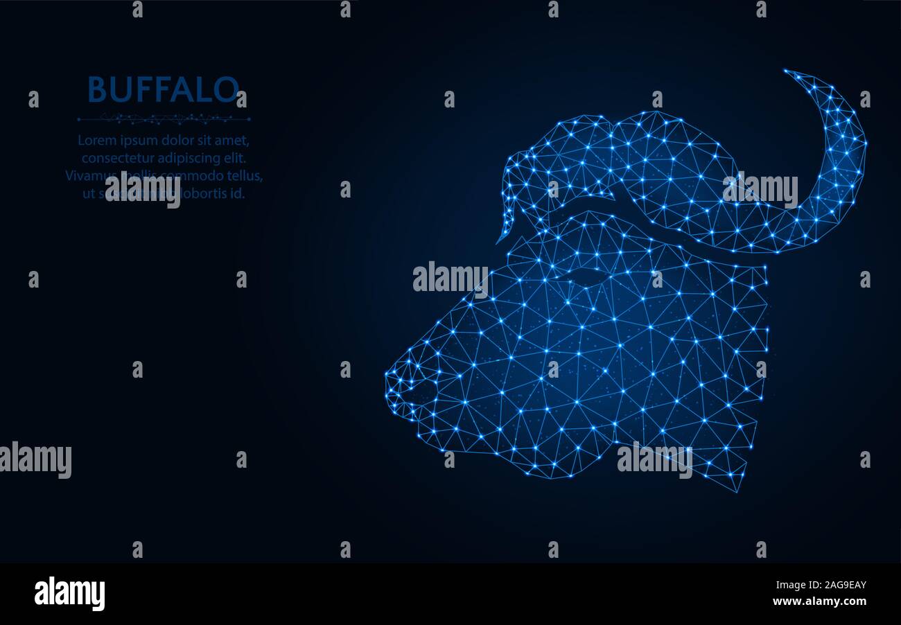 Buffalo head low poly design, animal wireframe mesh polygonal vector ...