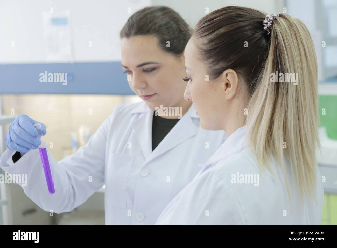 Two young female Laboratory scientists working at lab with test tubes ...