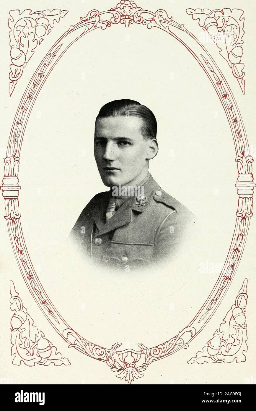 Royal camel corps hi-res stock photography and images - Alamy