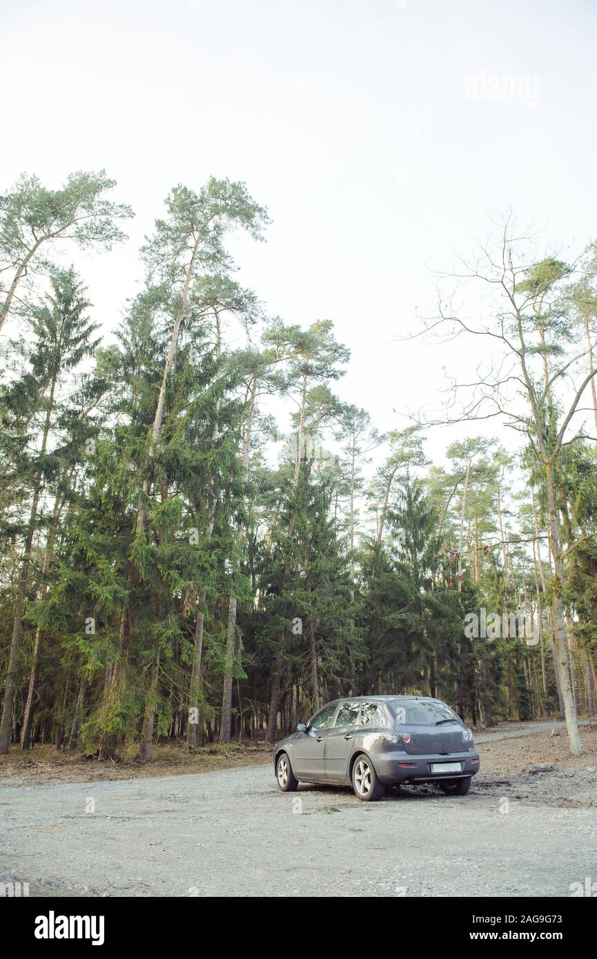 Gray hatchback car parked next to the wood Stock Photo - Alamy