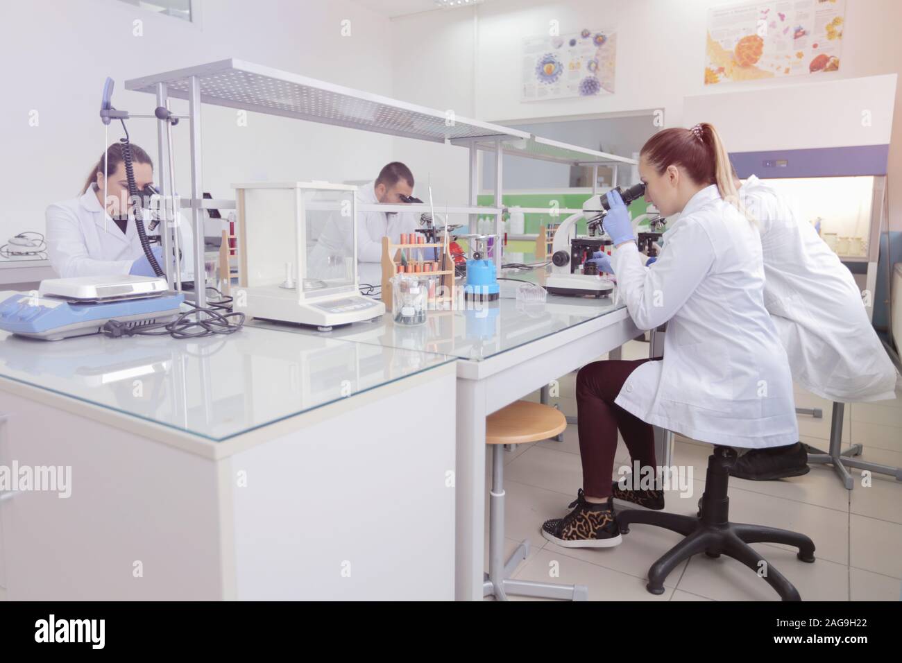 Group of young Laboratory scientists working at lab with test tubes and ...