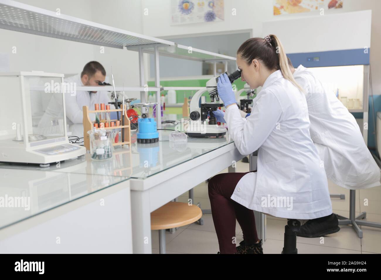 Group of young Laboratory scientists working at lab with test tubes and ...