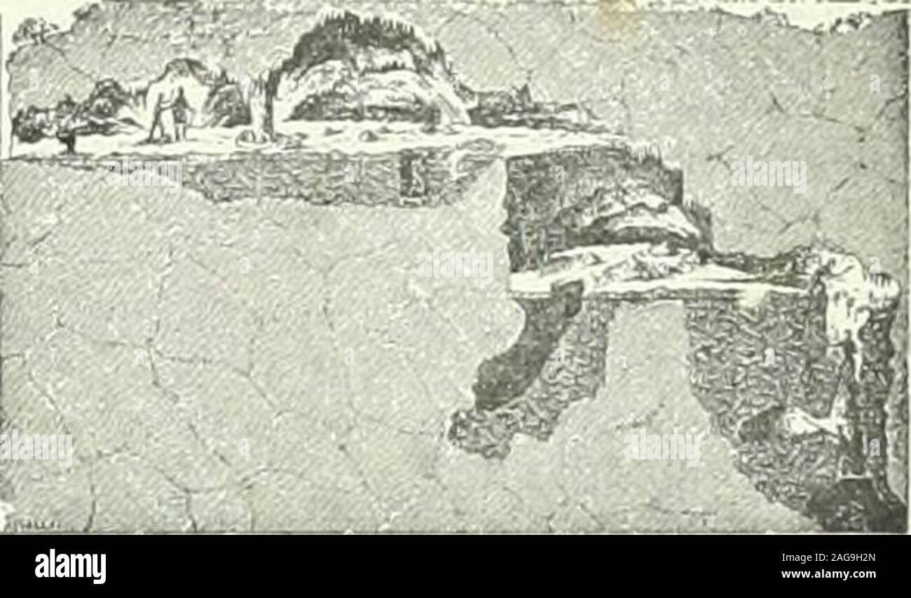 Muchas especies diferentes hi-res stock photography and images - Alamy