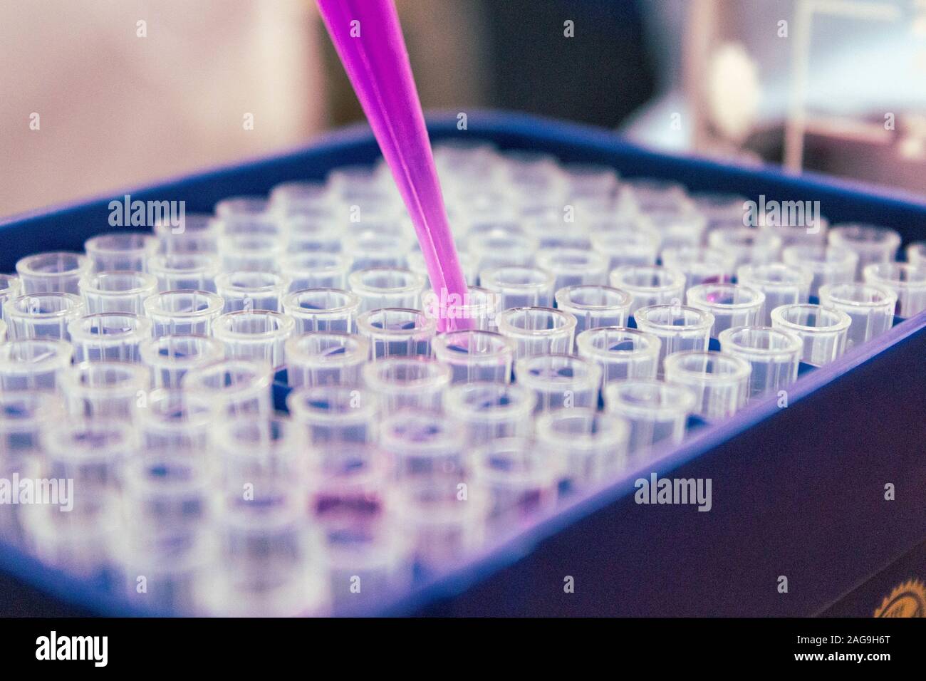 Scientist adding blue liquid in hi-res stock photography and images - Alamy