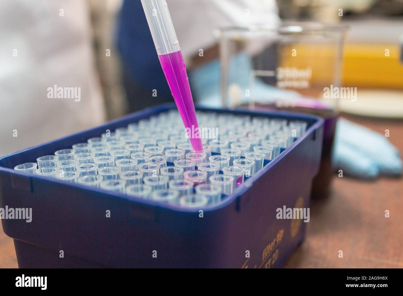Scientist adding liquid flask in hi-res stock photography and images ...