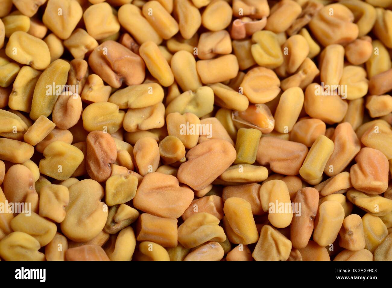 Fenugreek seeds as background. Close up texture Stock Photo - Alamy