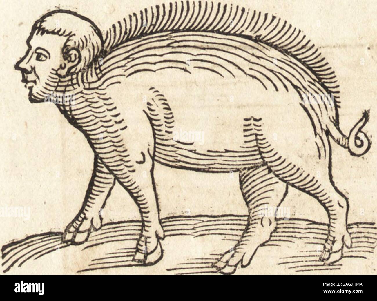 Hu nim hi-res stock photography and images - Alamy