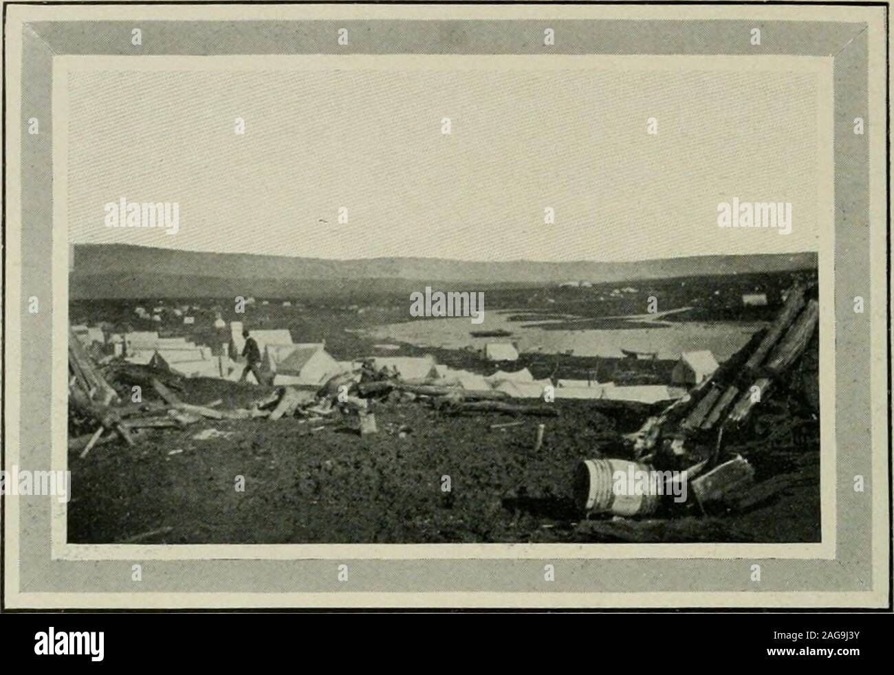 Matted roots hi-res stock photography and images - Alamy