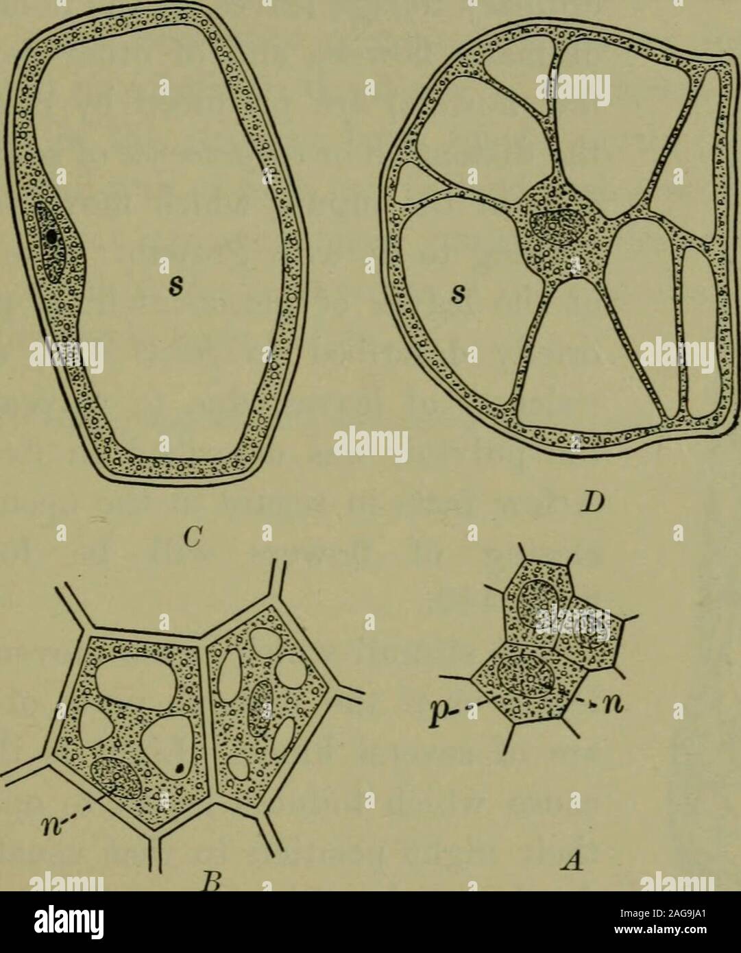 Ructure hi-res stock photography and images - Alamy
