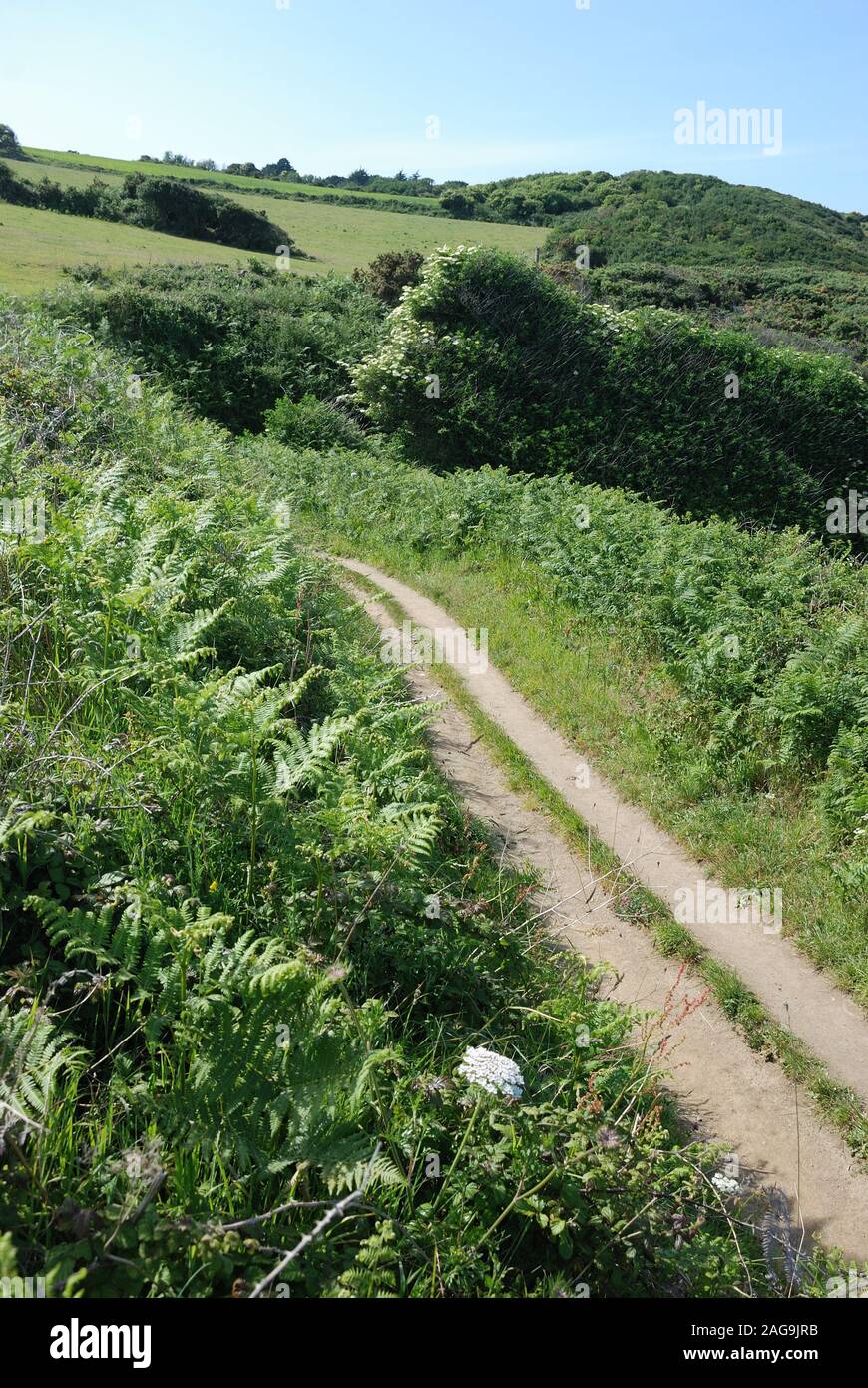 A path in spring Stock Photo - Alamy