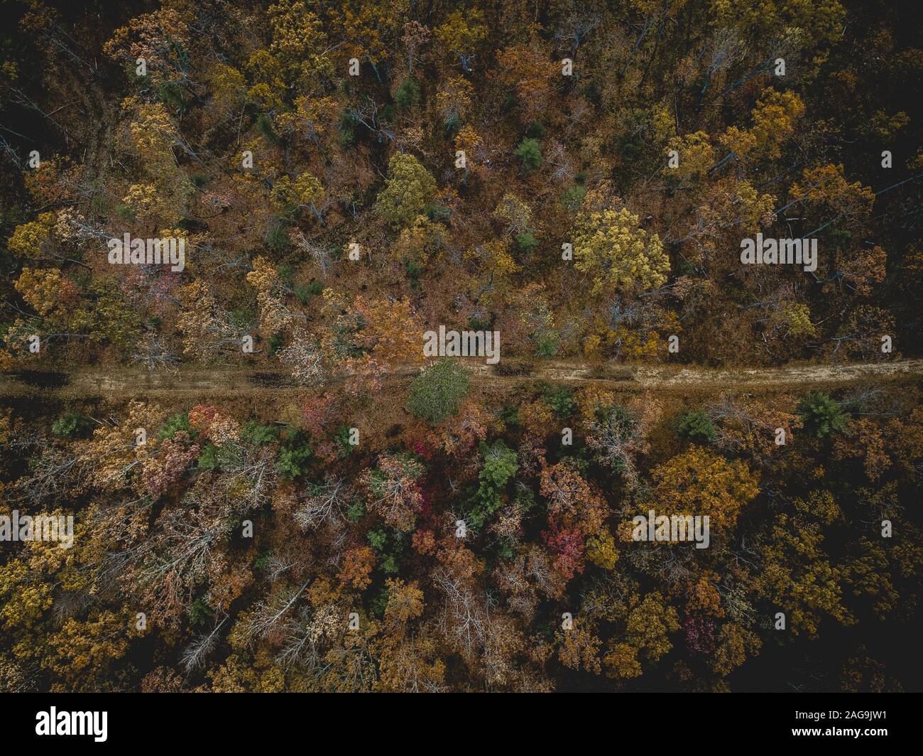 Aerial shot of a pathway in the middle of a forest with different trees ...