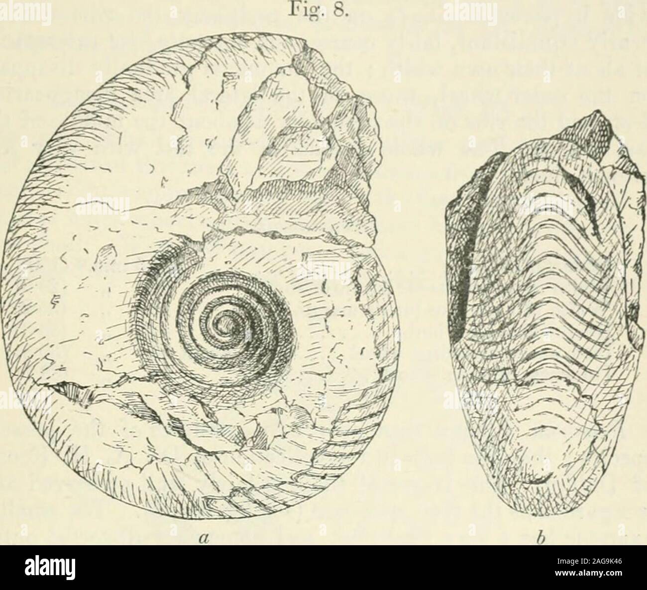Inclusion meter hi-res stock photography and images - Alamy
