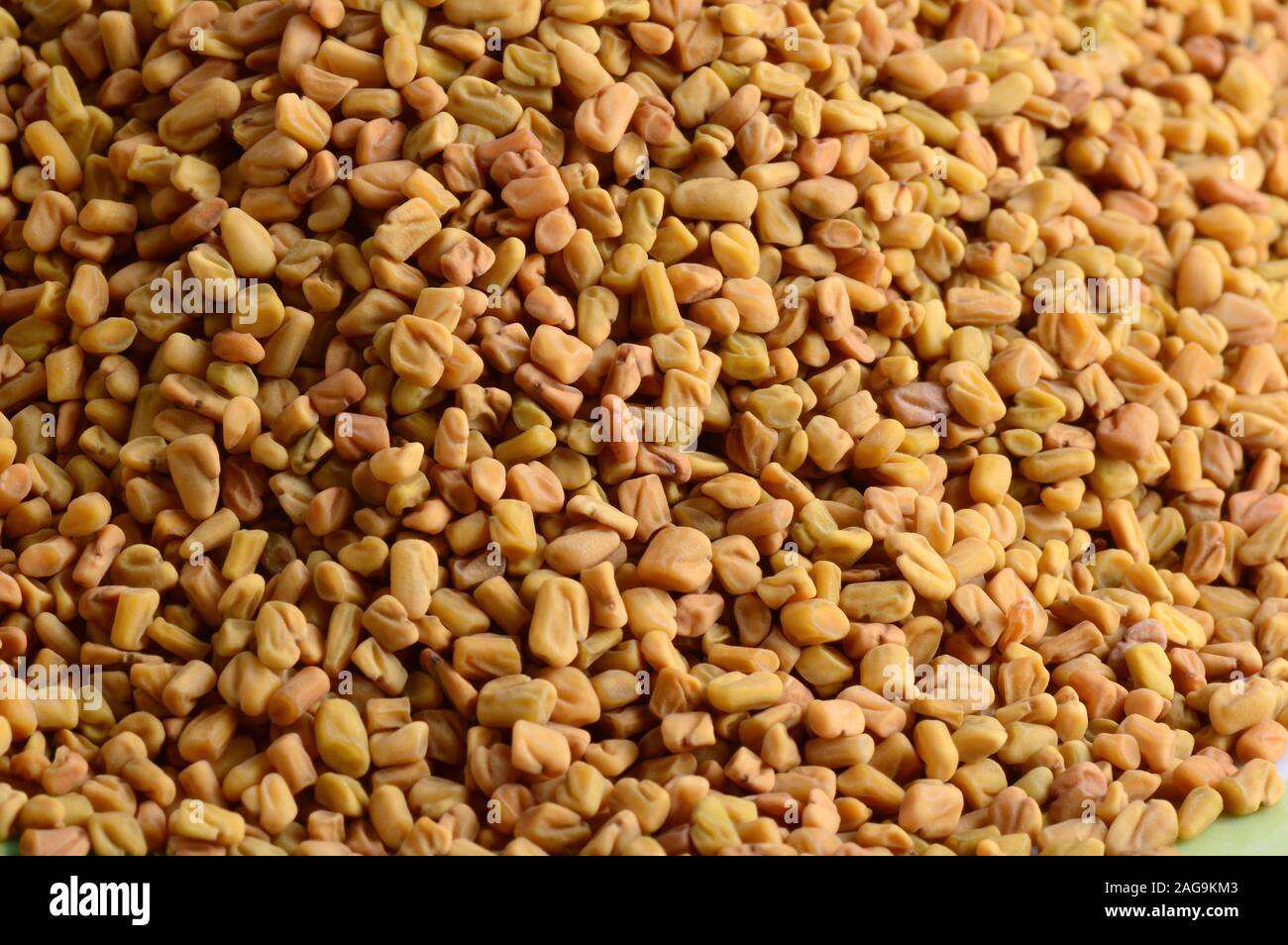 Fenugreek seeds as background. Close up texture Stock Photo - Alamy