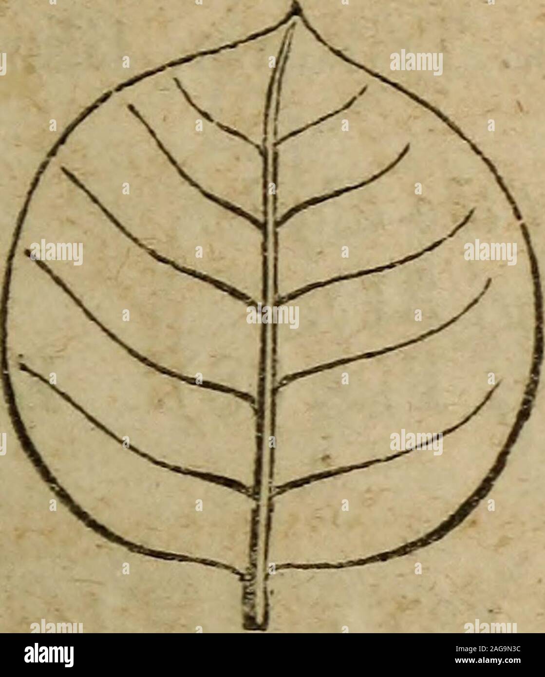 Nearly equal size hi-res stock photography and images - Alamy