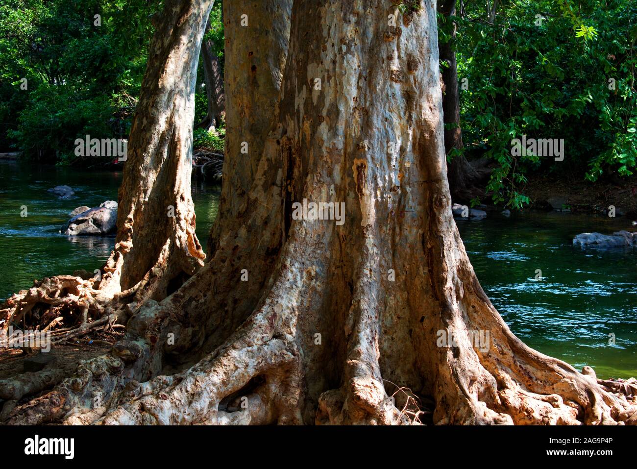 Kaveri river hi-res stock photography and images - Alamy