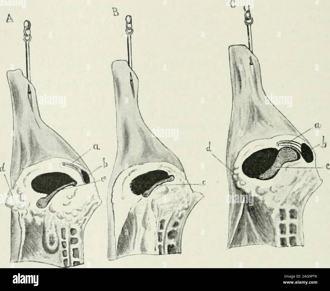 Fatis hi-res stock photography and images - Alamy