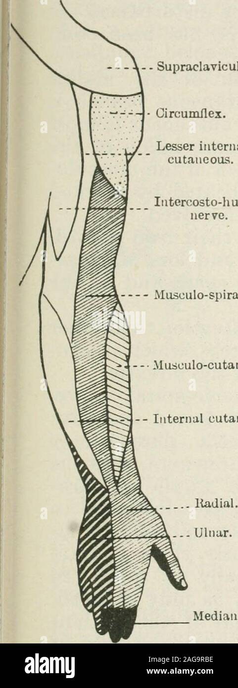 Lesión muscular hi-res stock photography and images - Alamy