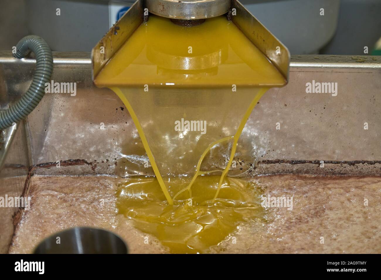 Spanish olive oil process factory full process pack Stock Photo - Alamy