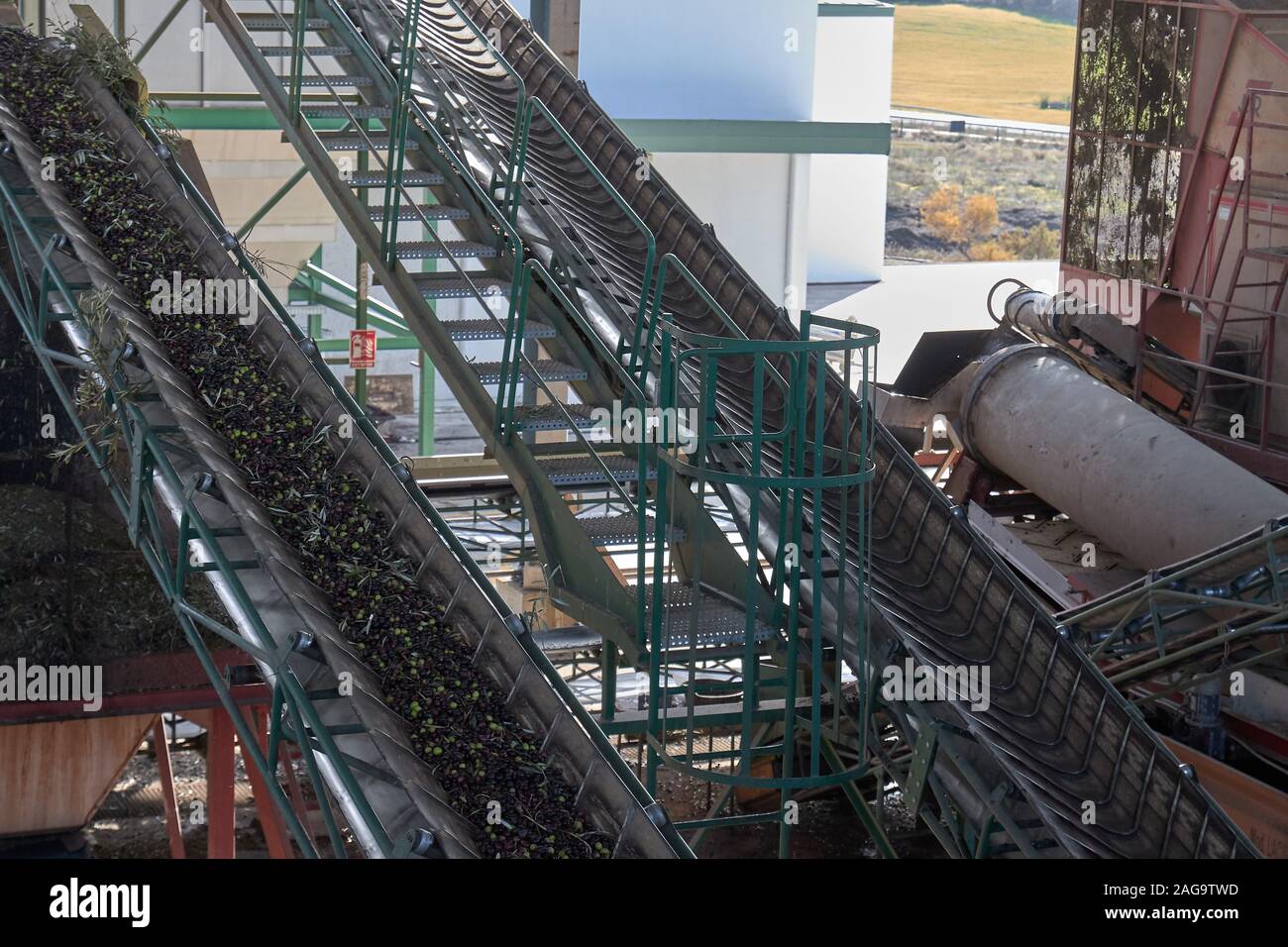 Spanish olive oil process factory full process pack Stock Photo - Alamy