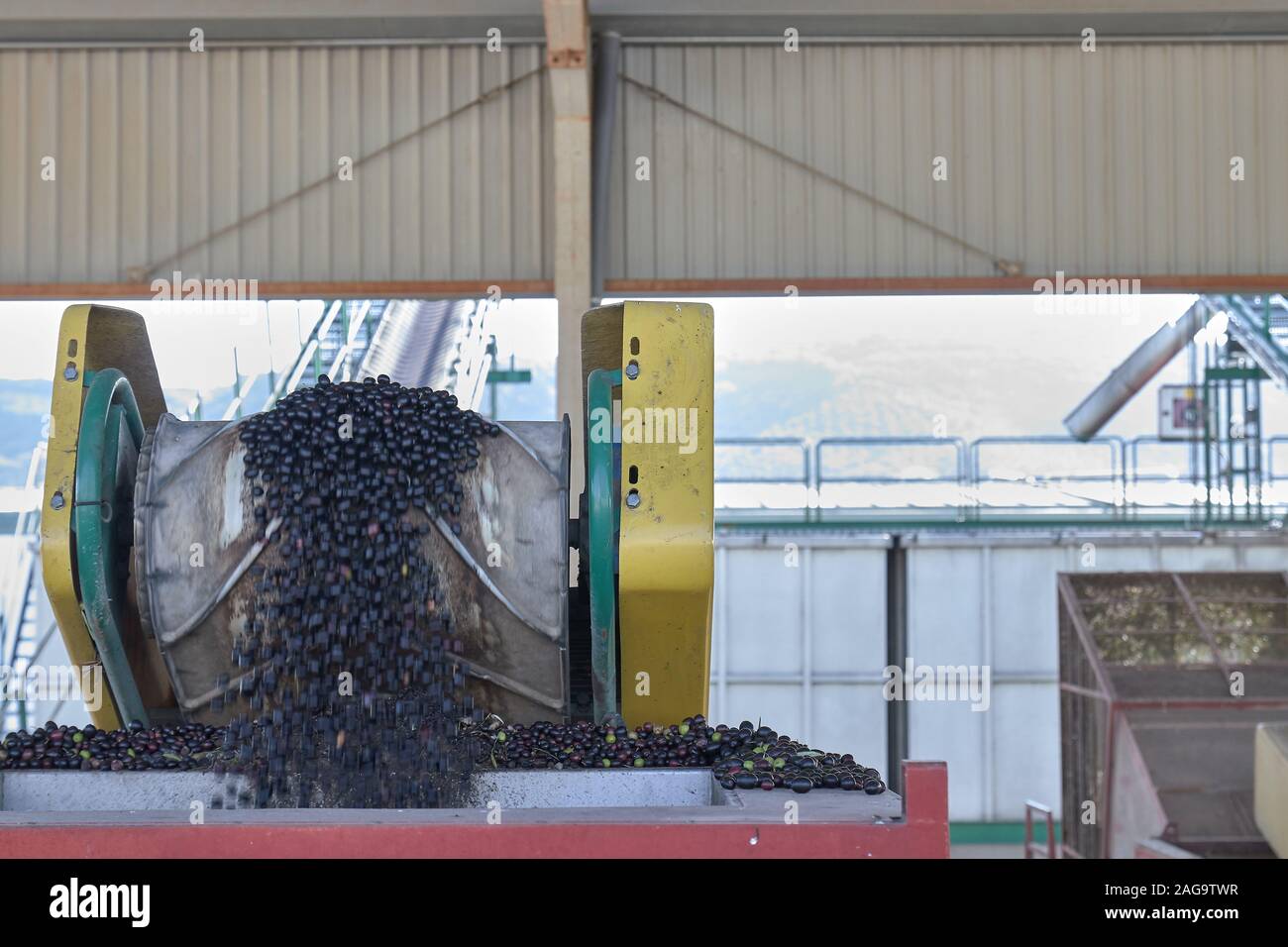 Spanish olive oil process factory full process pack Stock Photo - Alamy
