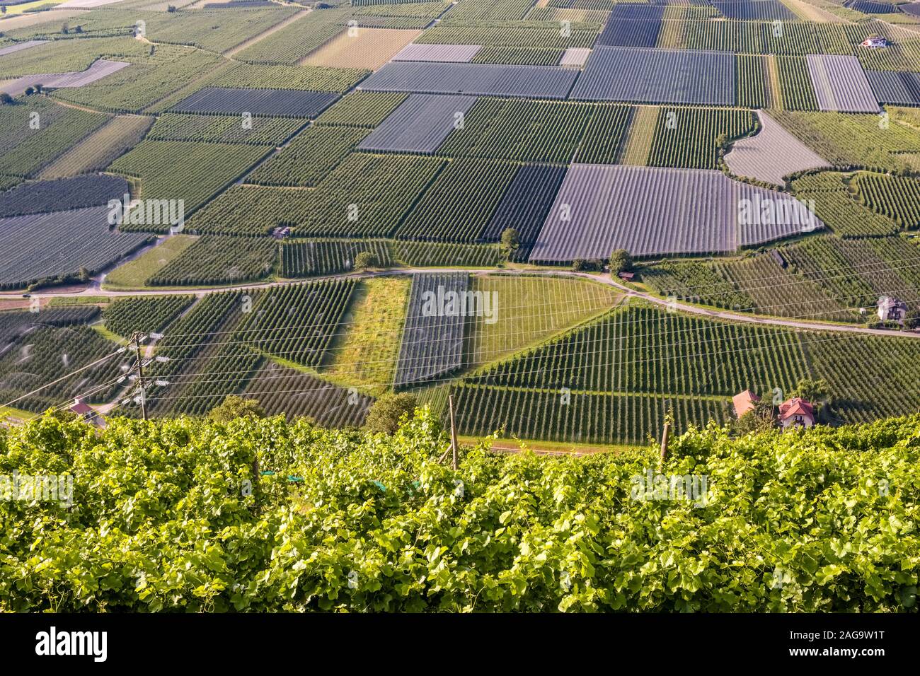 Aerial view of orchards hi-res stock photography and images - Alamy