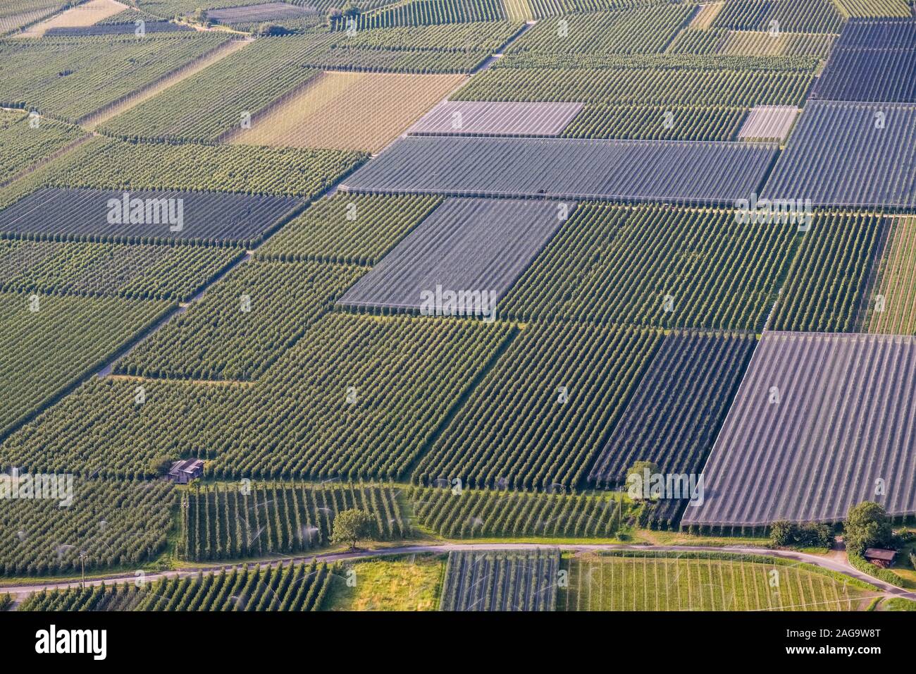 Orchard aerial hi-res stock photography and images - Alamy