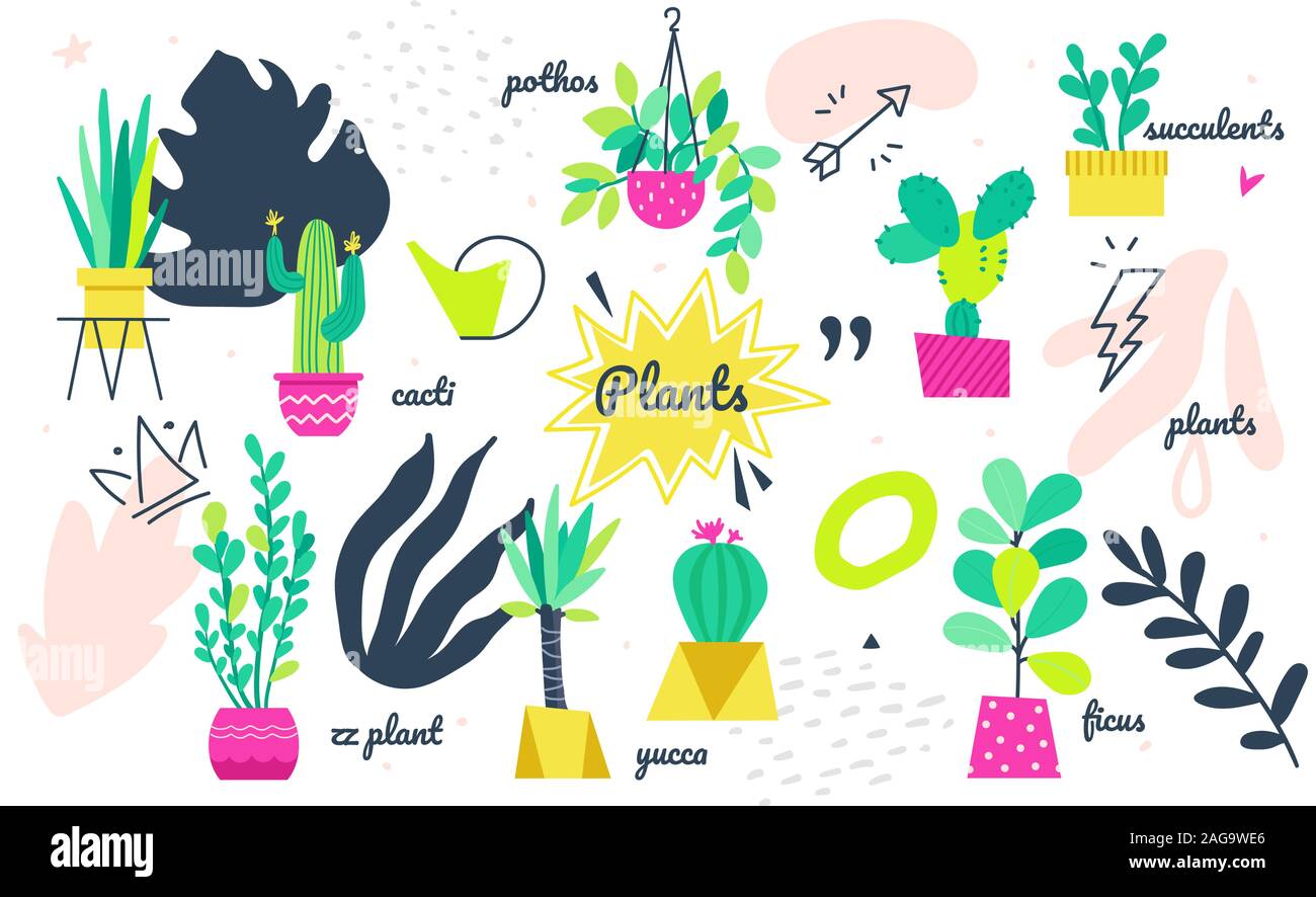 Potted plants sign hi-res stock photography and images - Alamy