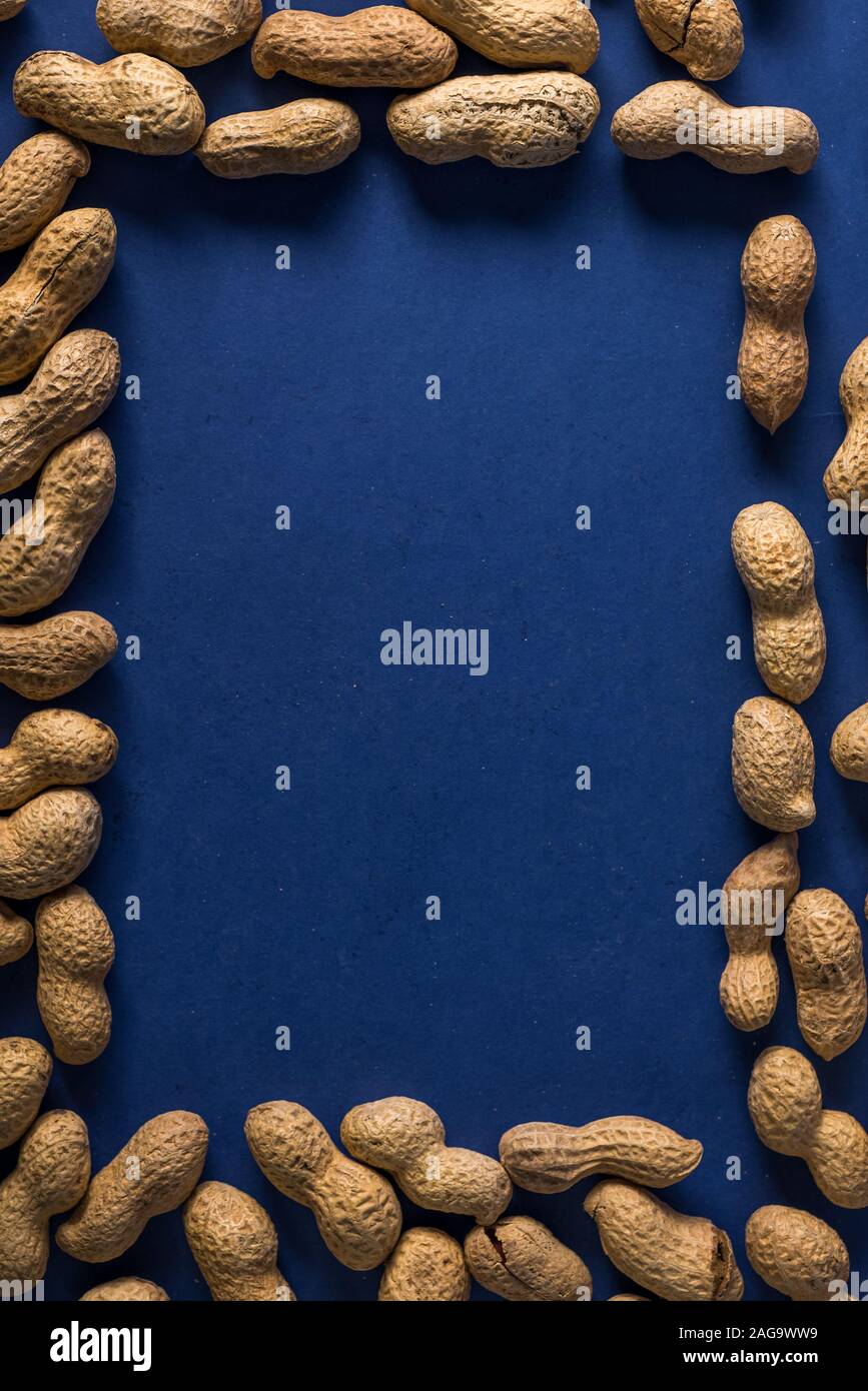 A pile of roasted peanuts on a trendy blue background with place for ...