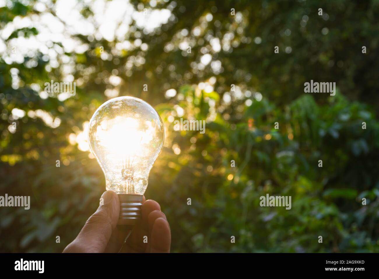 Insert bulb hi-res stock photography and images - Alamy