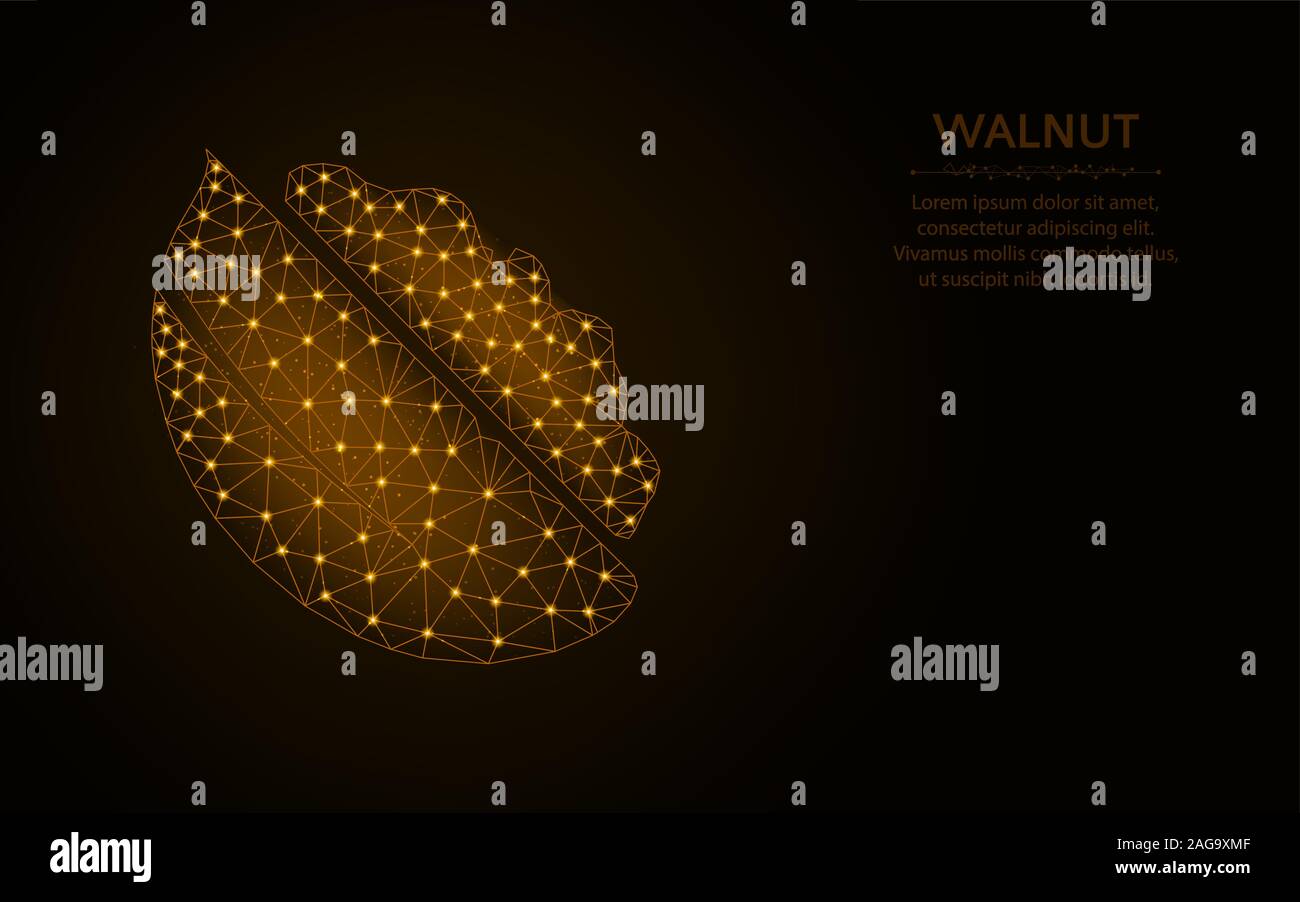 Walnut low poly design, fruit wireframe mesh polygonal vector ...