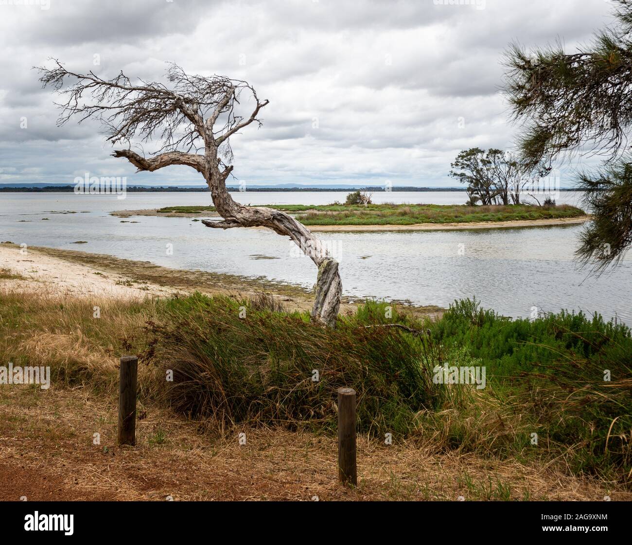 Beautiful scenery of green trees and bushes near the sea under the ...
