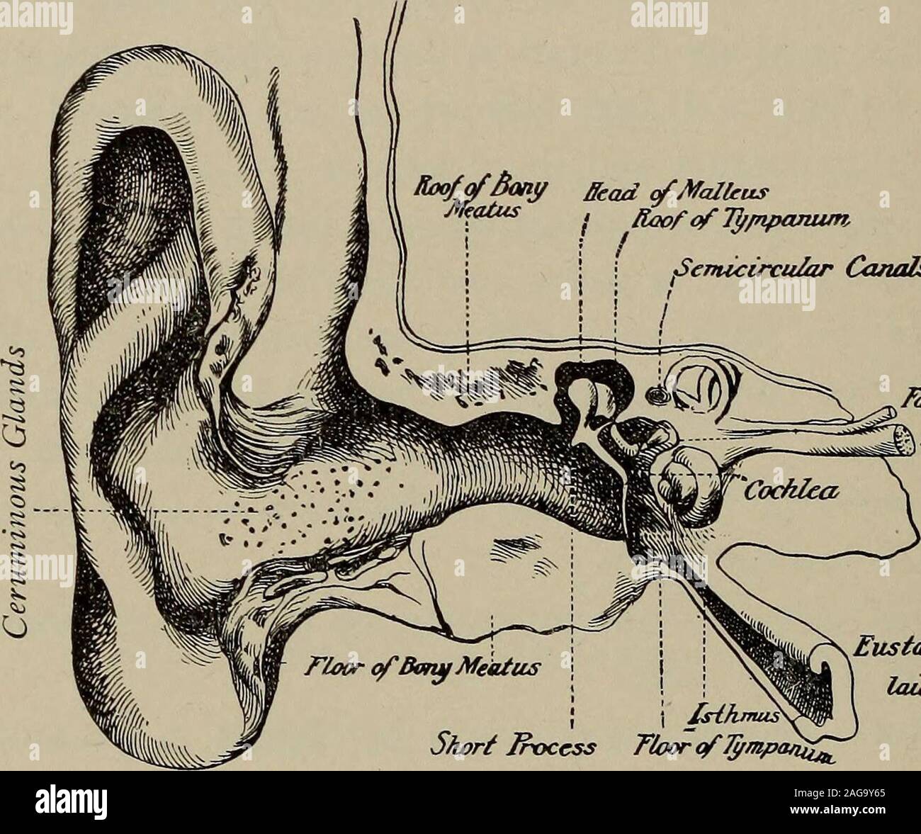 . Diseases of children. ept in a dark room. The nurse should always ...