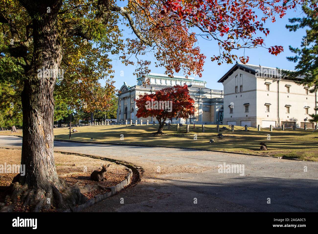 NARA, JAPAN -19th November 2019: The Nara National Museum located in ...