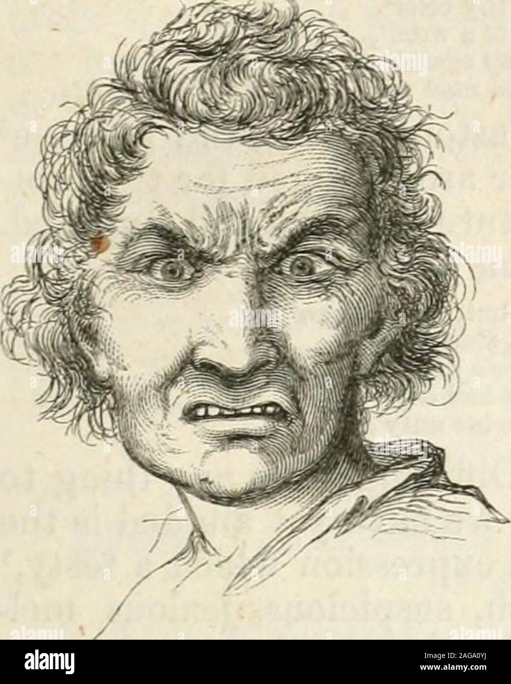 10 whole teeth hi-res stock photography and images - Alamy